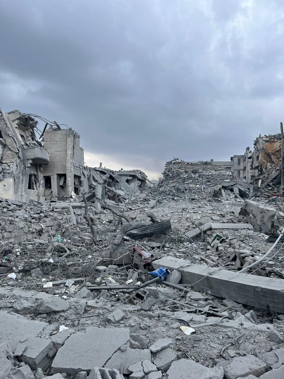 Occupied Palestinian Territory - Première Urgence Internationale